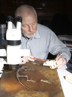 Ida Fossil Fiasco • Darwin, Then and Now