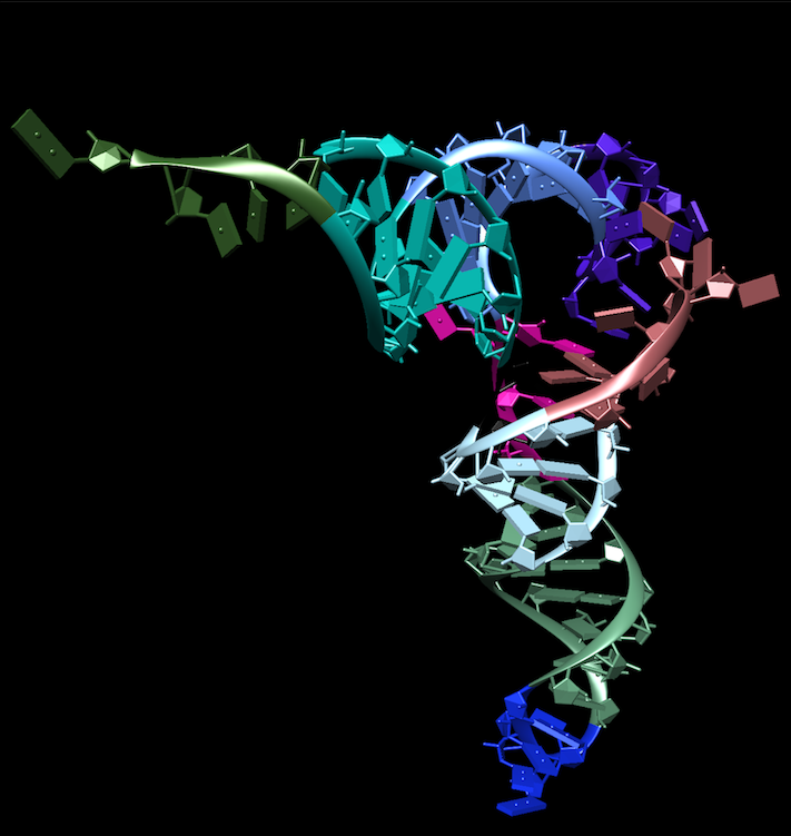 RNA World • Darwin, Then and Now
