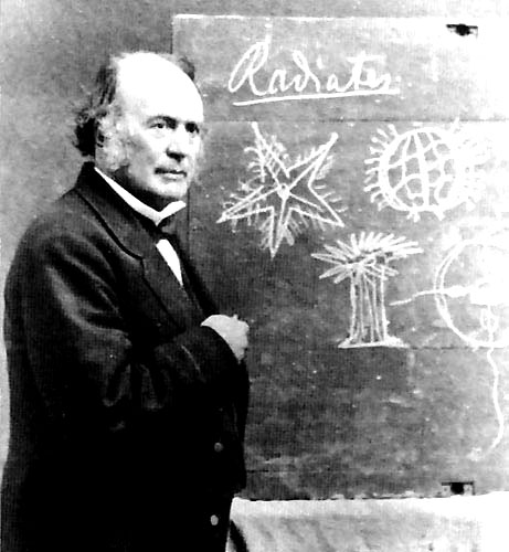 Louis Agassiz • Darwin, Then and Now