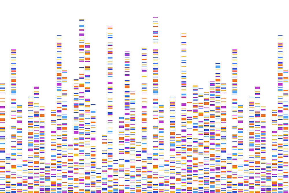 Exploring Human Evolution via DNA • Darwin, Then and Now