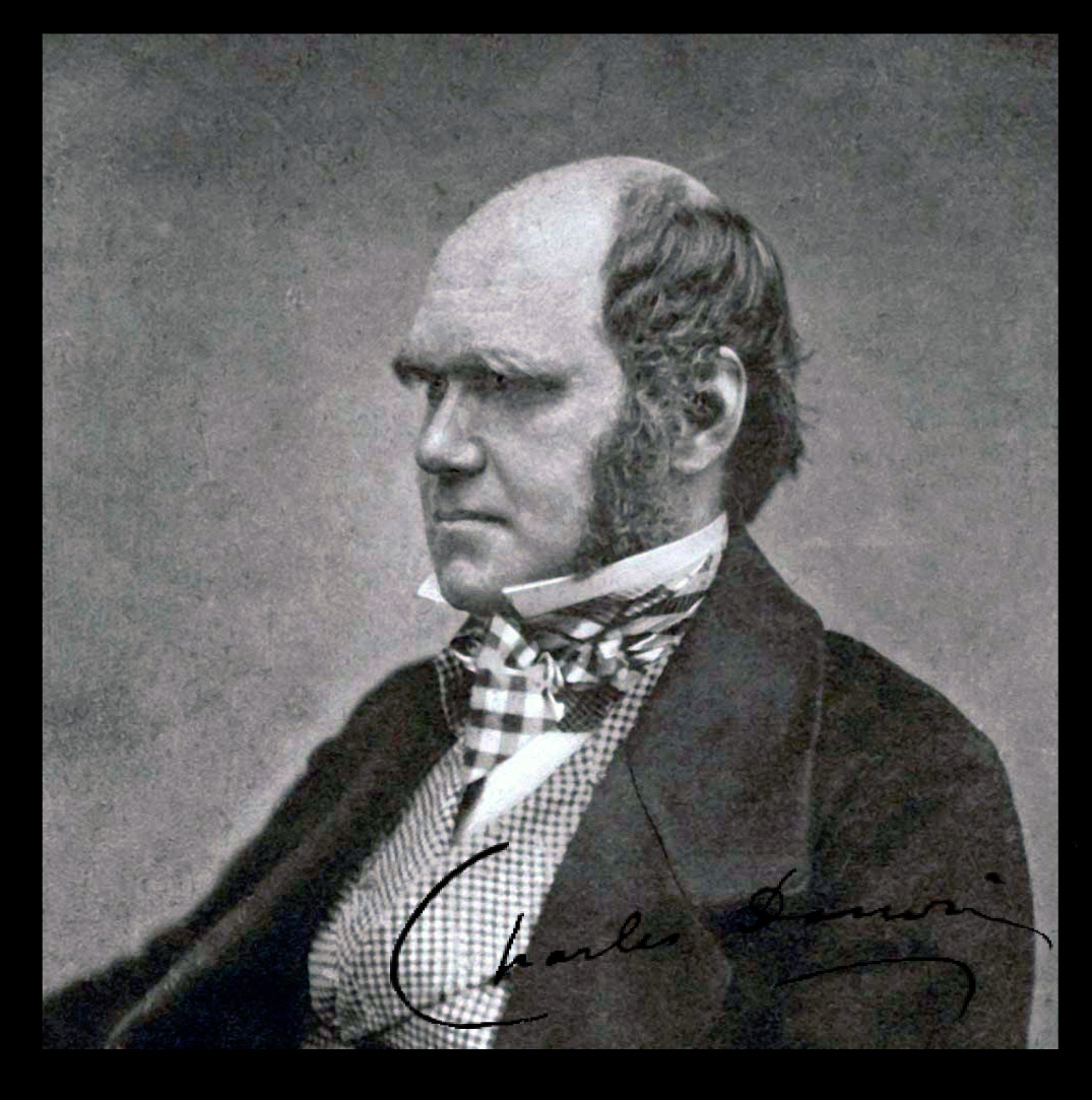 Logic and Science • Darwin, Then and Now