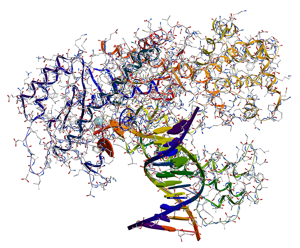 Self-Assembly Origin of Life • Darwin, Then and Now