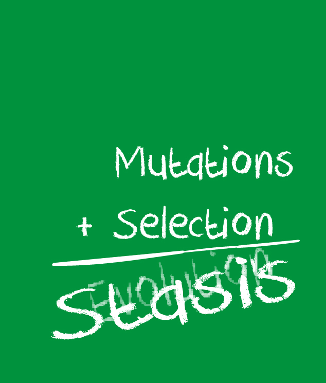 Mutation + Selection = Stasis • Darwin, Then and Now