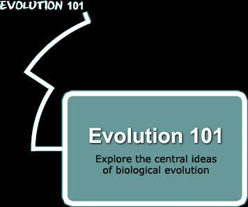 Evolution 101 Common Ancestor • Darwin, Then and Now