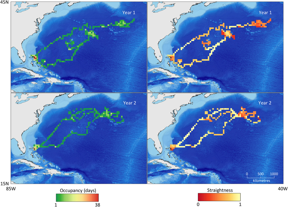 Sharks, No Evolution Forerunner • Darwin, Then and Now