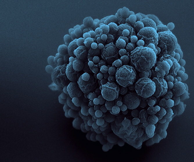 New Evolution Nightmare • Darwin, Then and Now