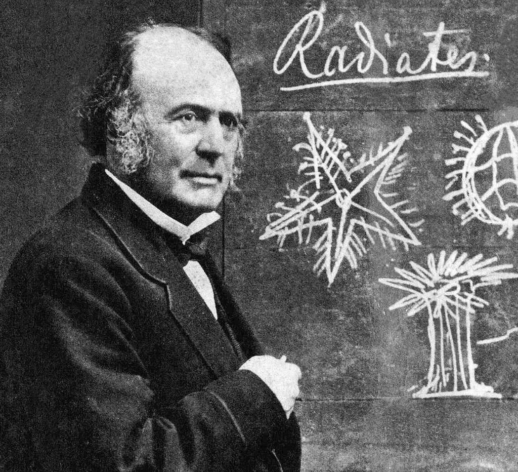 Louis Agassiz • Darwin, Then and Now
