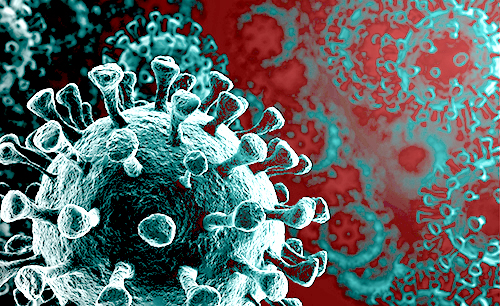Phylogenetics of Coronaviruses • Darwin, Then and Now